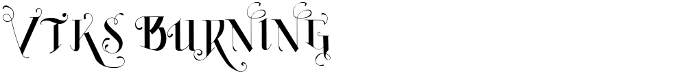 Vtks Burning - 字体小镇
